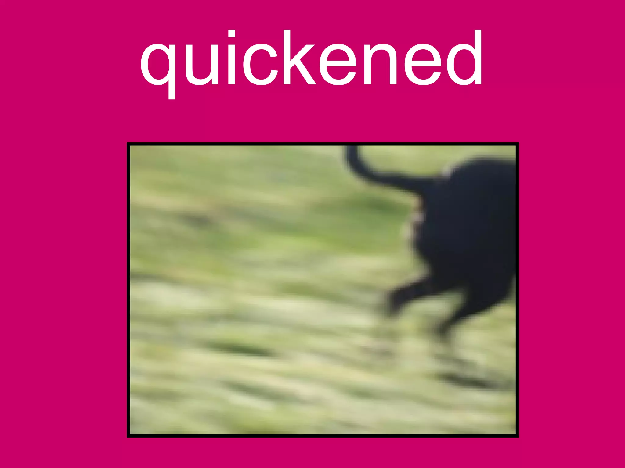 long path to freedom vocabulary | PPT