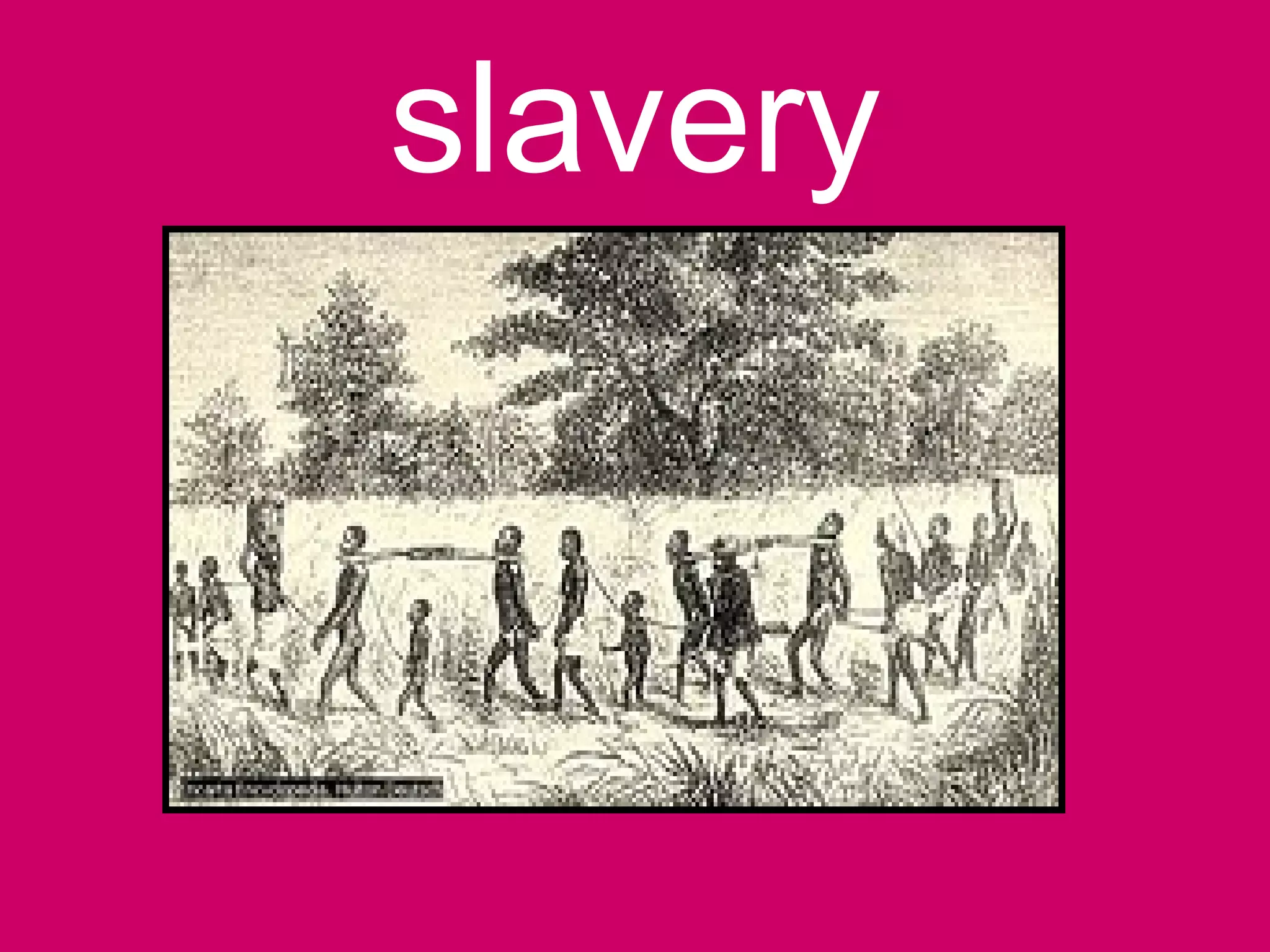 long path to freedom vocabulary | PPT