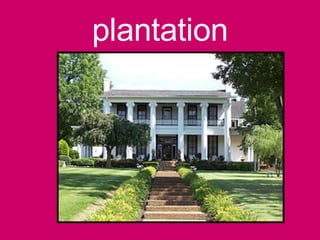 long path to freedom vocabulary | PPT