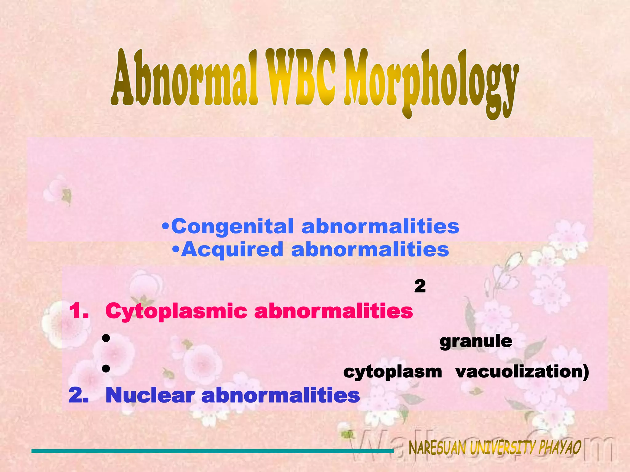 C:\Documents And Settings\User\Desktop\Agranulocytic Series+Abnormal Wbc | PPT