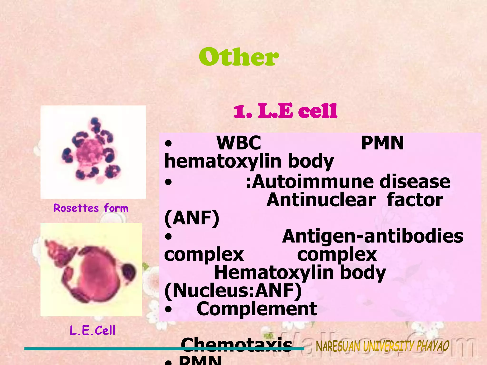 C:\Documents And Settings\User\Desktop\Agranulocytic Series+Abnormal Wbc | PPT