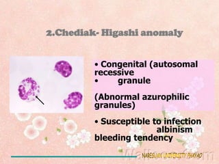 C:\Documents And Settings\User\Desktop\Agranulocytic Series+Abnormal ...