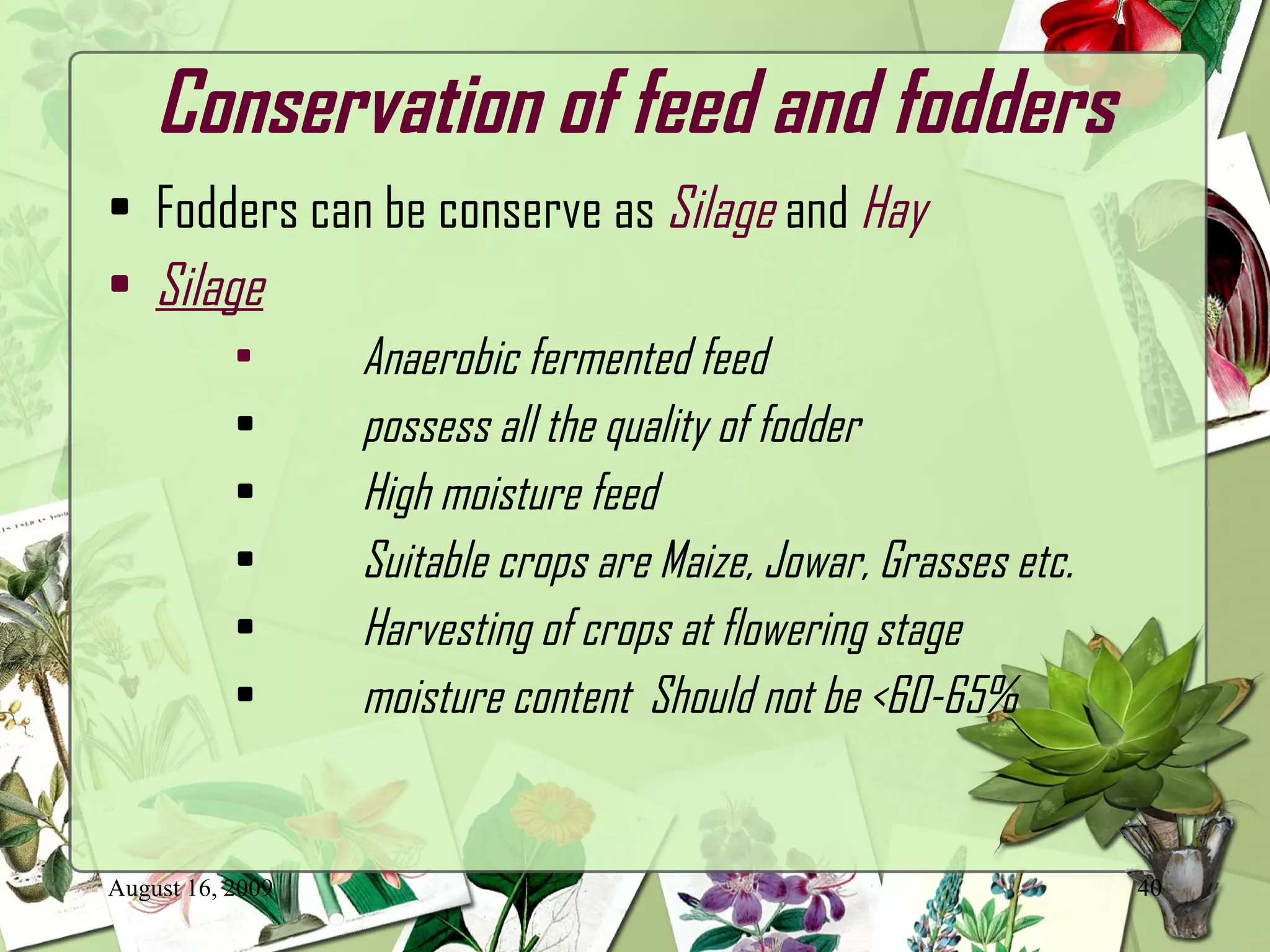 feed and fodder status in india | PPT