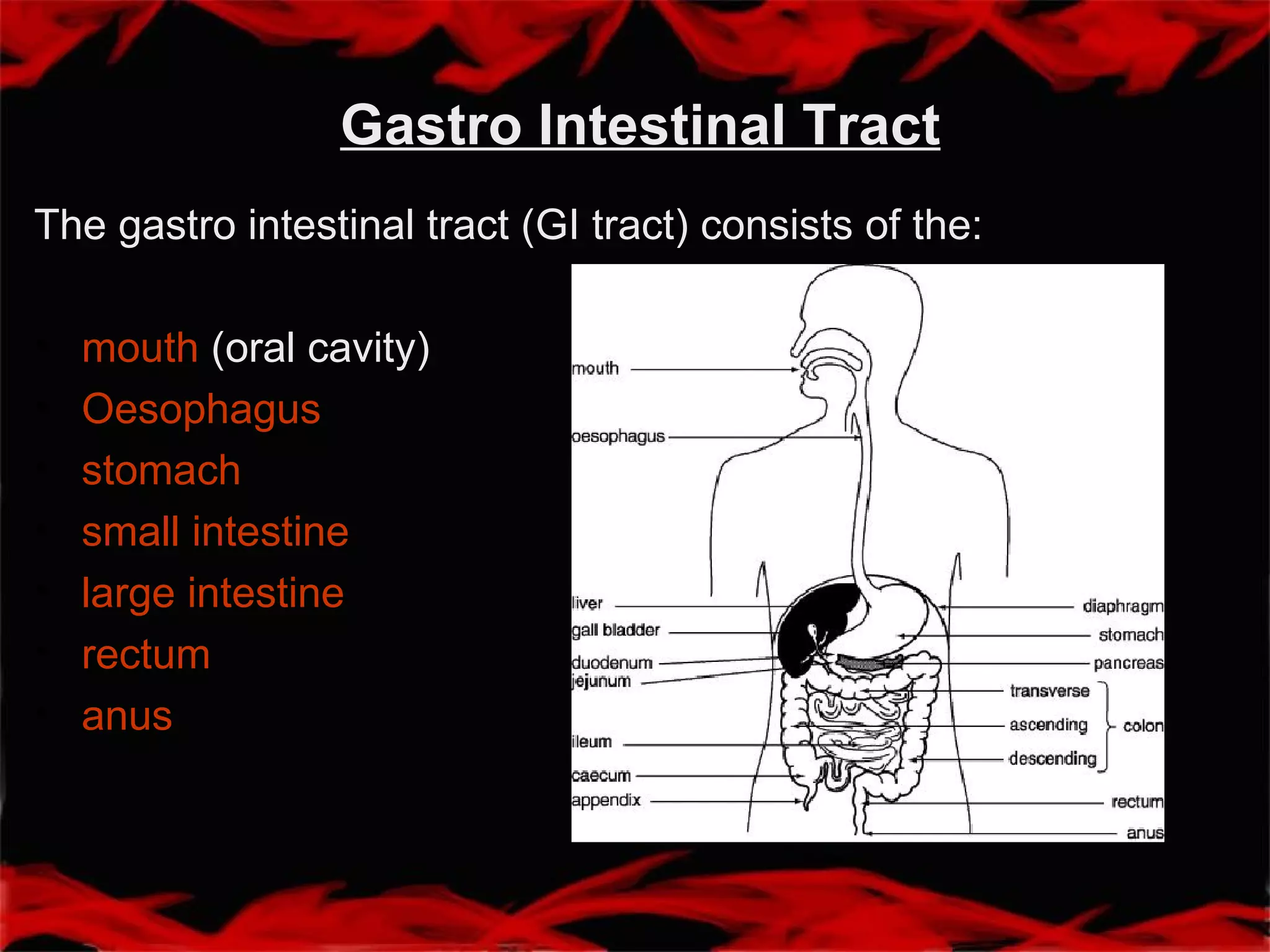 Gastro intestinal infections | PPT