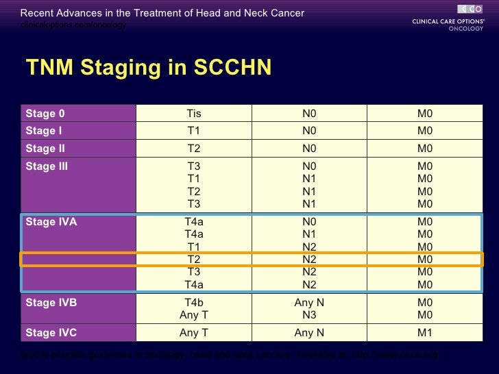 C:\Documents And Settings\User\Desktop\Head And Neck