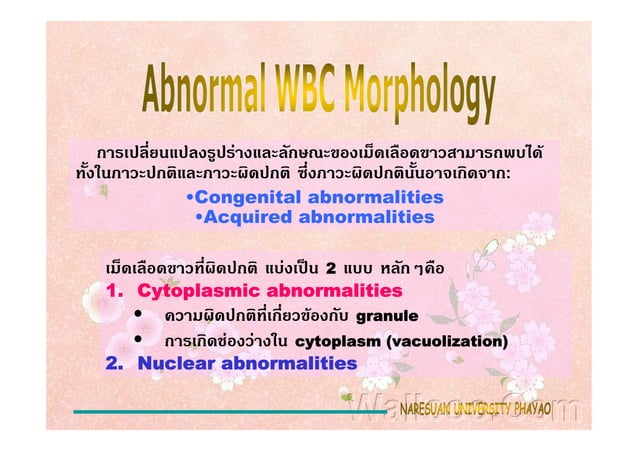 C:\Documents And Settings\User\Desktop\Microsoft Power Point Agranulocytic Series+Abnormal Wbc | PPT
