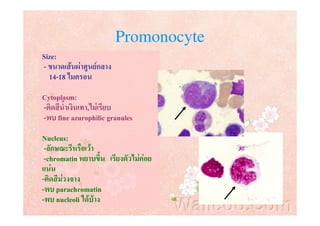 C:\Documents And Settings\User\Desktop\Microsoft Power Point ...