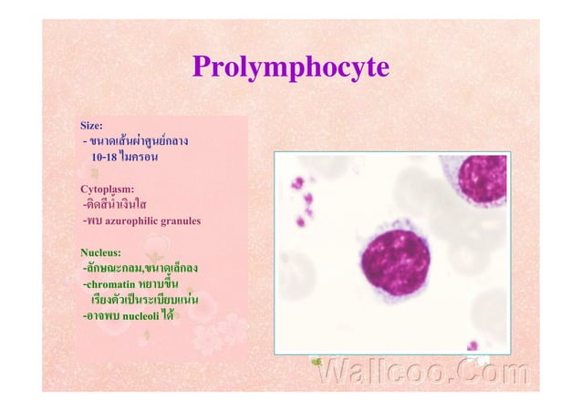 C:\Documents And Settings\User\Desktop\Microsoft Power Point ...