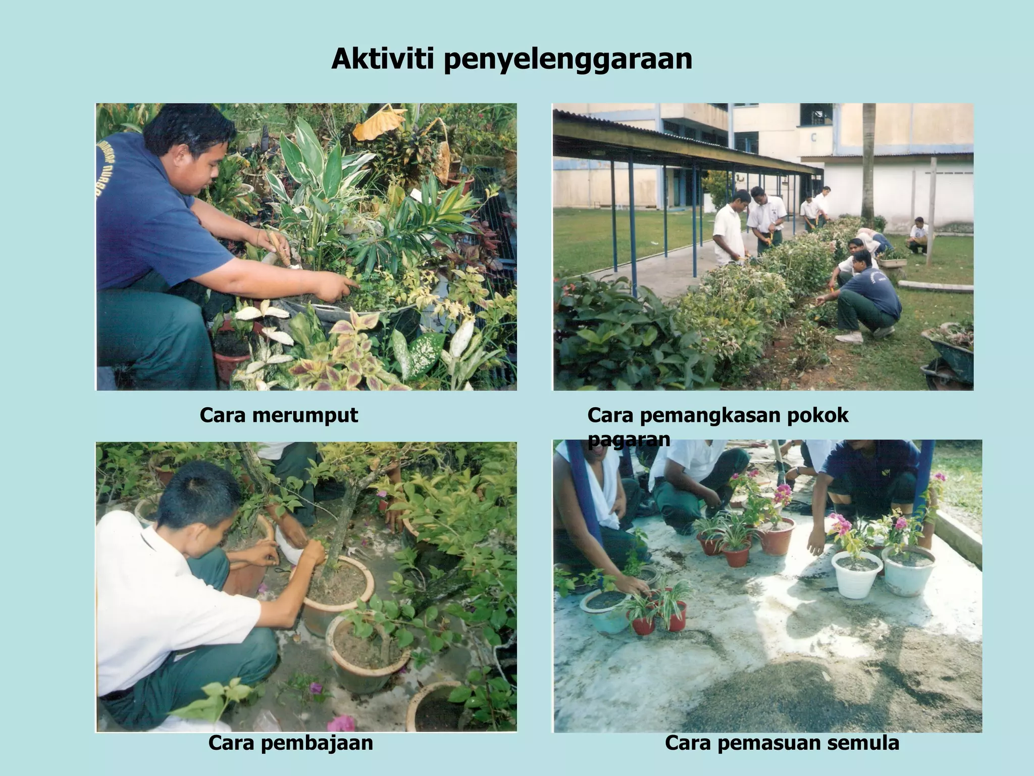 AKTIVITI SOFTSCAPE | PPT