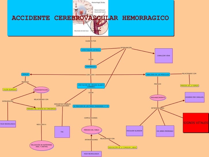 Acv Mapa Conceptual - shibaswap