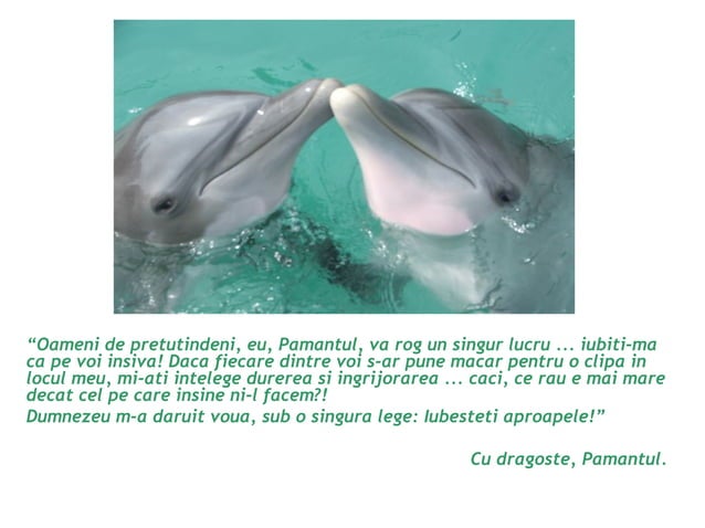 Pamantul pentru o zi | PPT