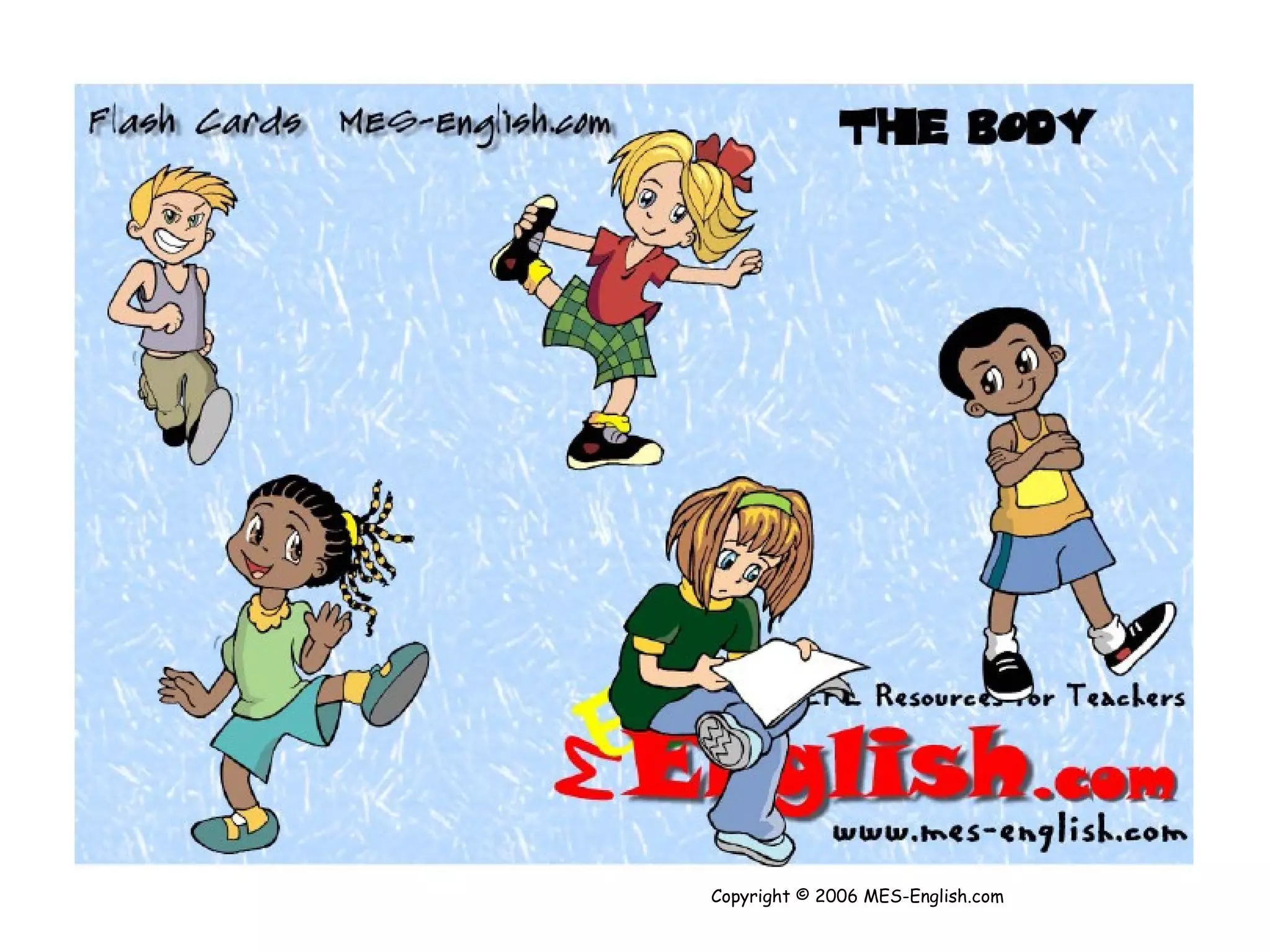 Partes Del Cuerpo Humano Ppt