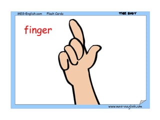 partes del cuerpo humano | PPT