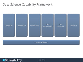 Data Science Capability Framework | PDF