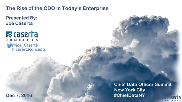 The Rise of the CDO in Today's Enterprise | PDF