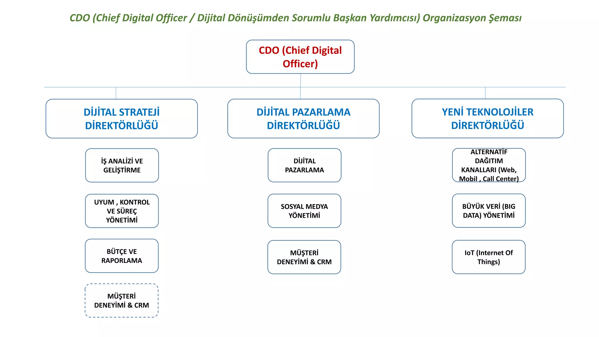 CDO Organizasyon Şeması / CDO Organization Chart | PPT