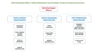 CDO Organizasyon Şeması / CDO Organization Chart | PPT