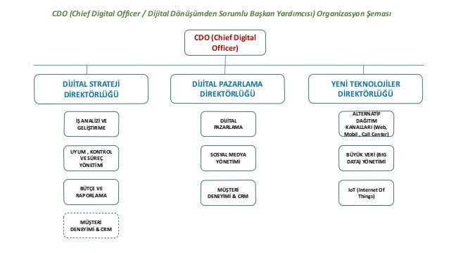 CDO Organizasyon Şeması / CDO Organization Chart