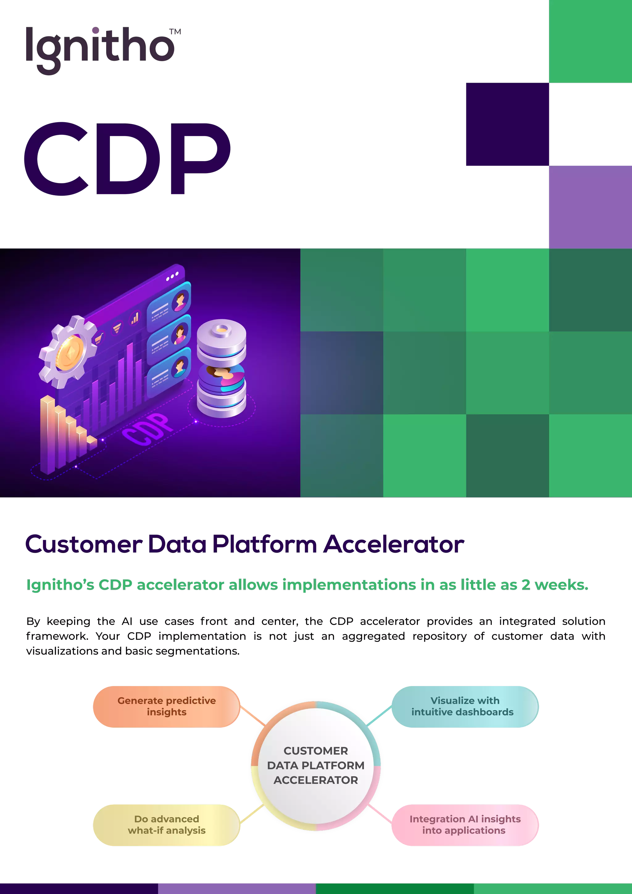 Customer Data Platform Accelerator Pdf
