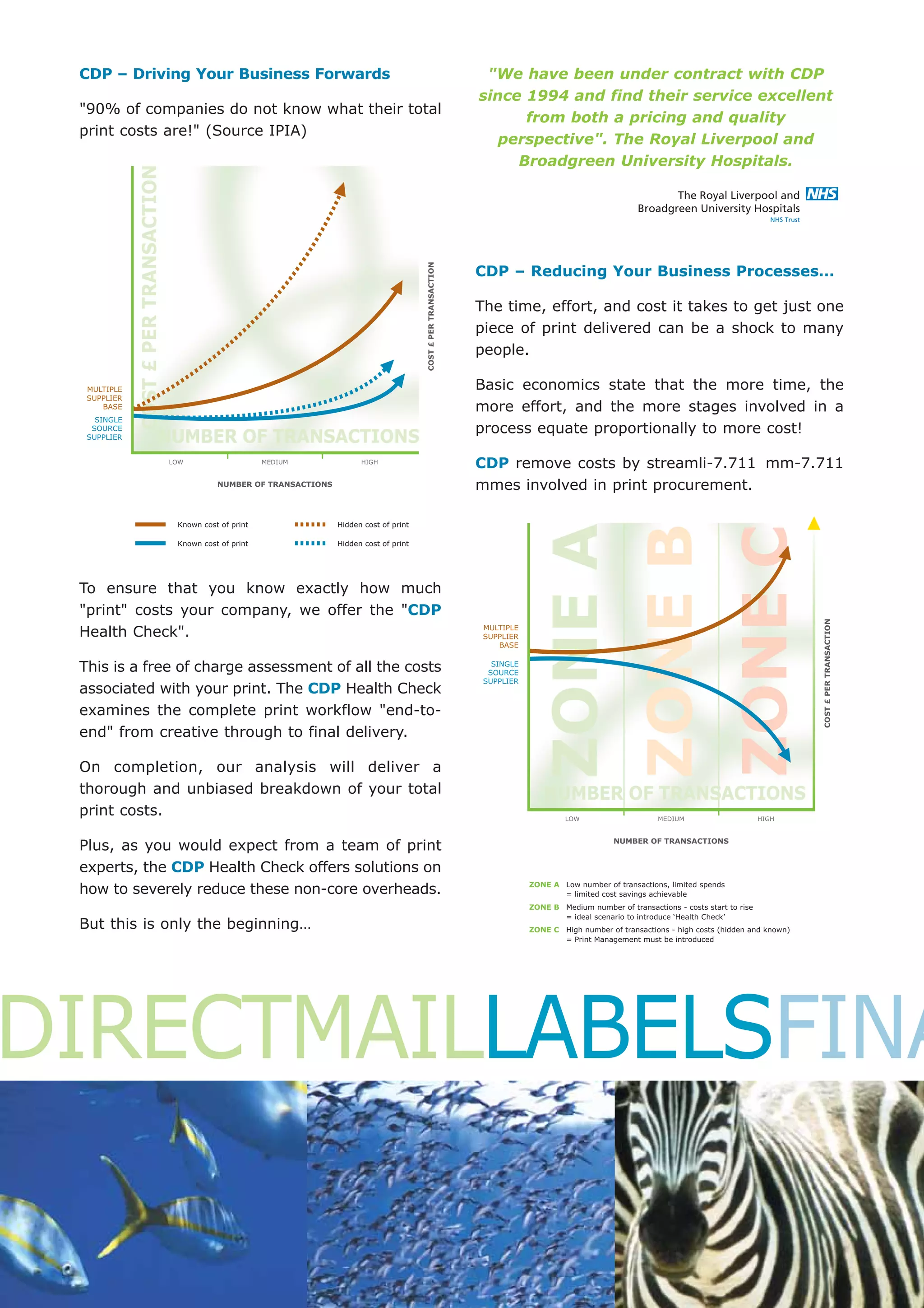 Cdp Print Management | PDF