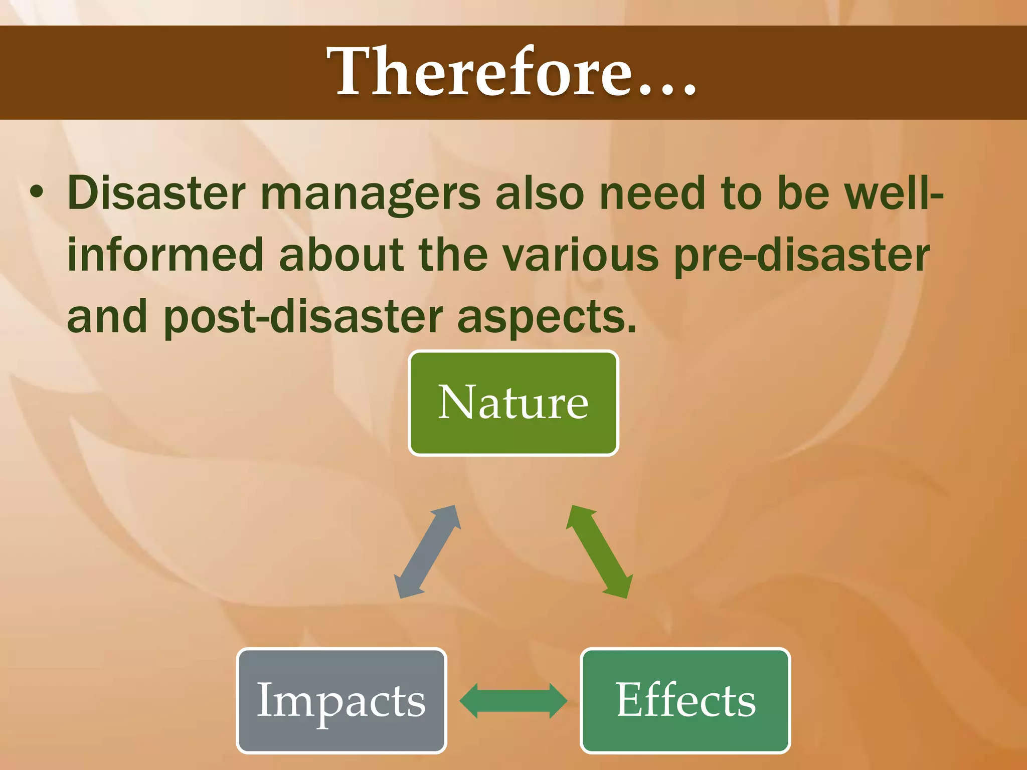 Disaster Risk Reduction Management | PPTX