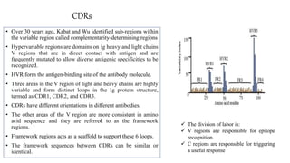 Complementarity Determining Regions | PPTX