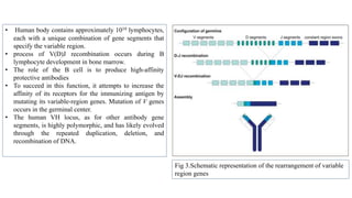 Complementarity Determining Regions | PPTX