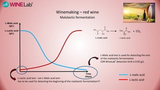Presentation of CDR WineLab®, Wine Analysis System | PPT | Free Download