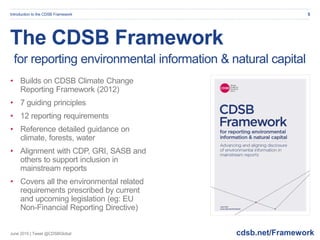 CDSB Framework 101 | PPTX