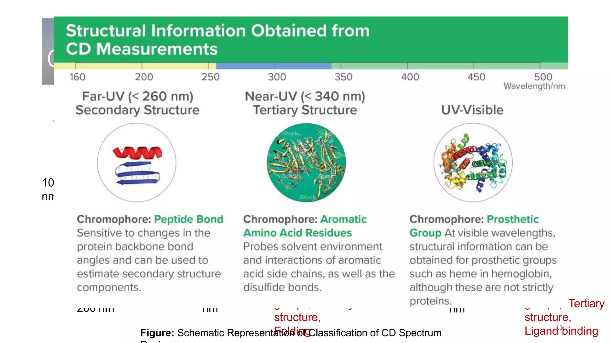 CD Spectroscopy Presentation1.pptx