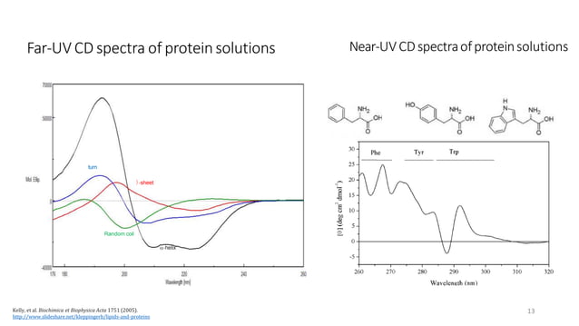 CD Spectroscopy Presentation1.pptx | Chemistry | Science