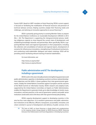 DESA's Capacity Development Strategy | PDF