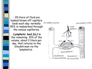 CDT-Edema-Therapy-in-Wound-Care.ppt