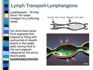 CDT-Edema-Therapy-in-Wound-Care.ppt