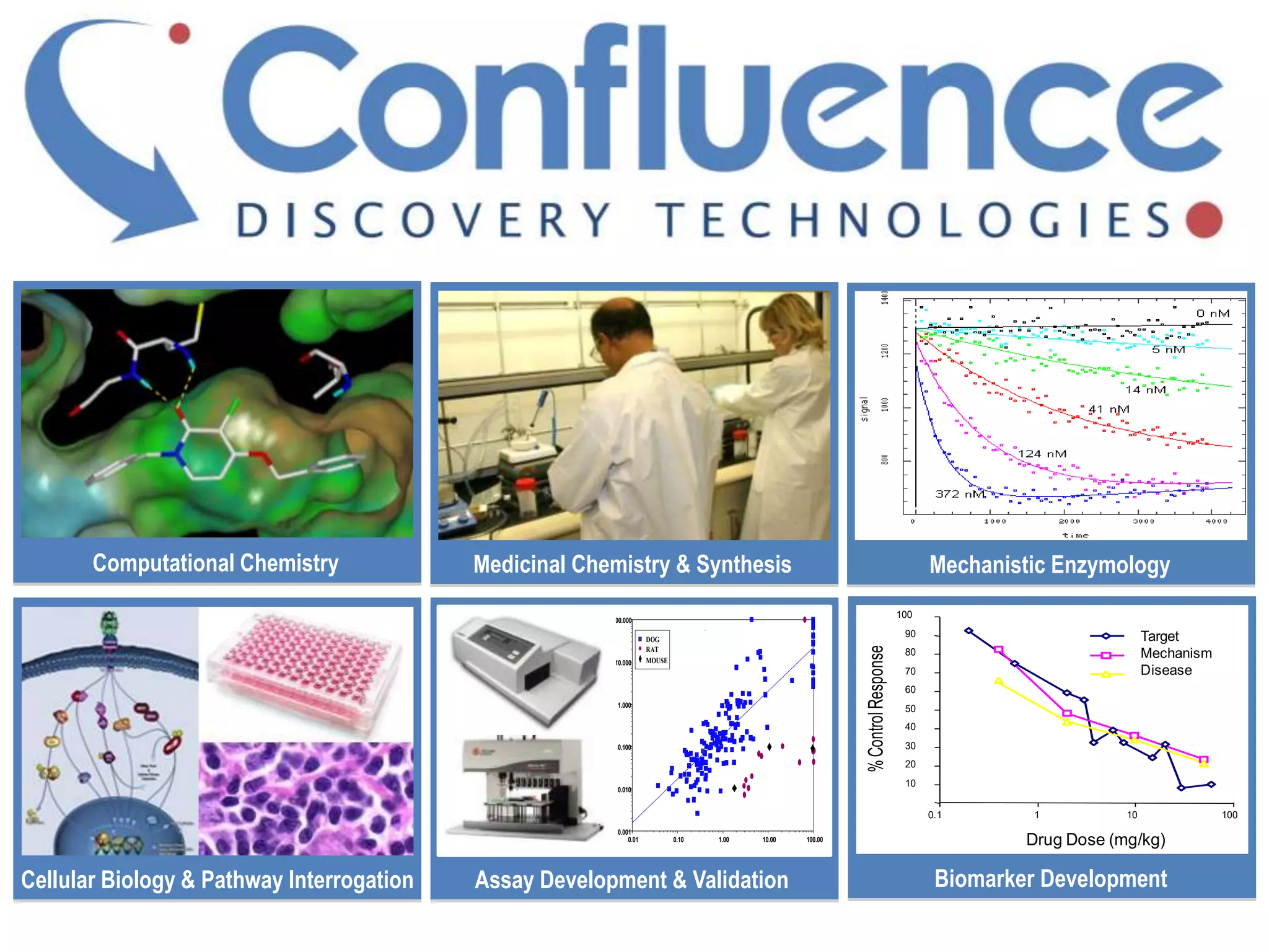 Confluence Discovery Technologies | PPTX