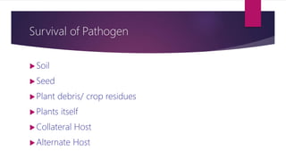 Crop disease and their managemen basic | PPTX