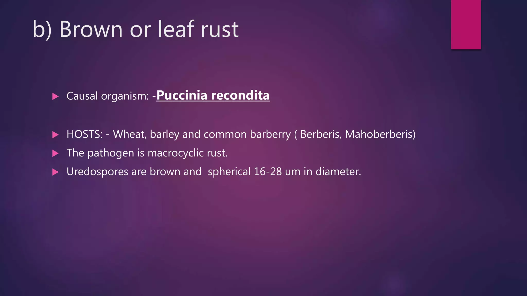 Disease of Wheat crop | PPTX