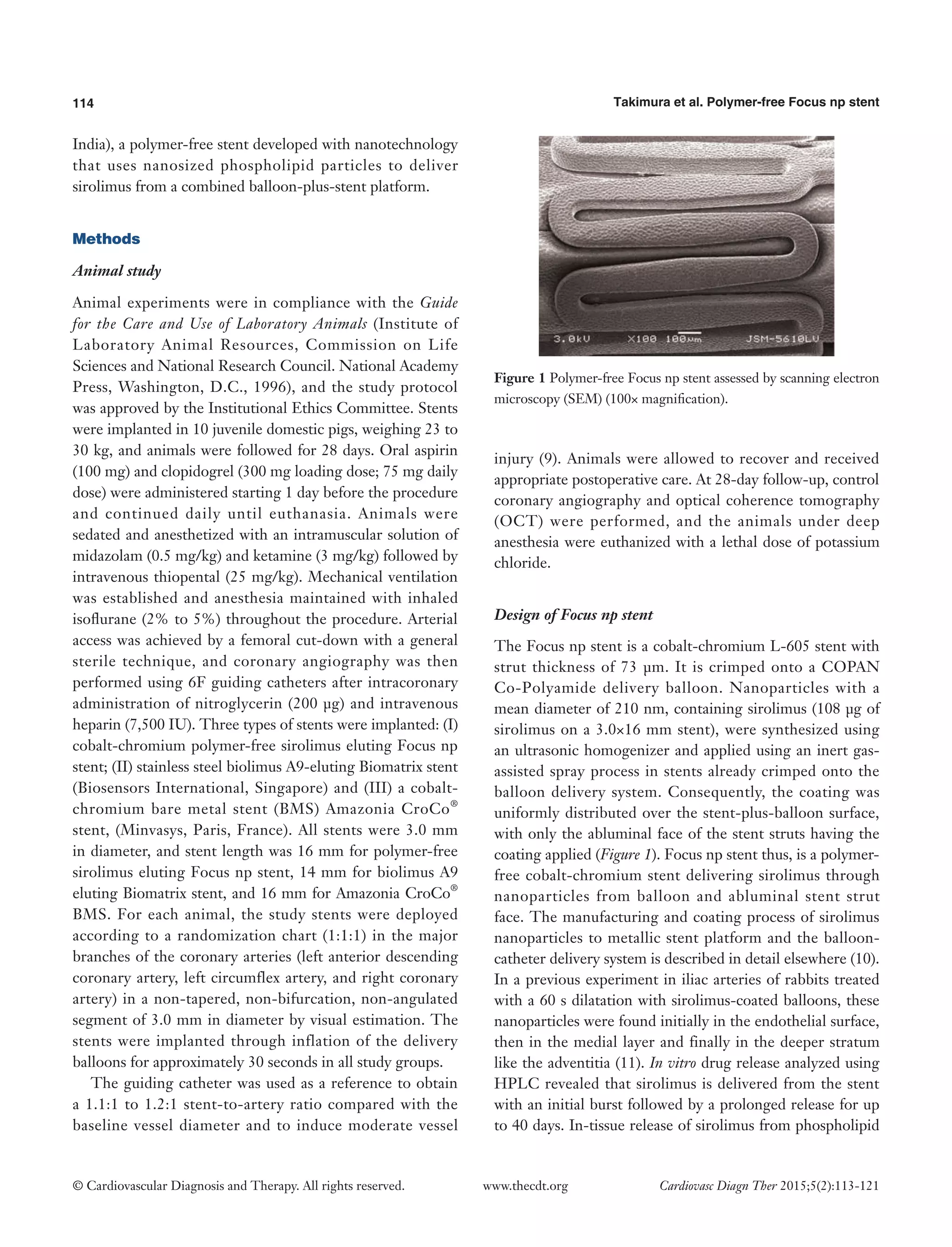 A new polymer-free drug-eluting stent with nanocarriers eluting ...
