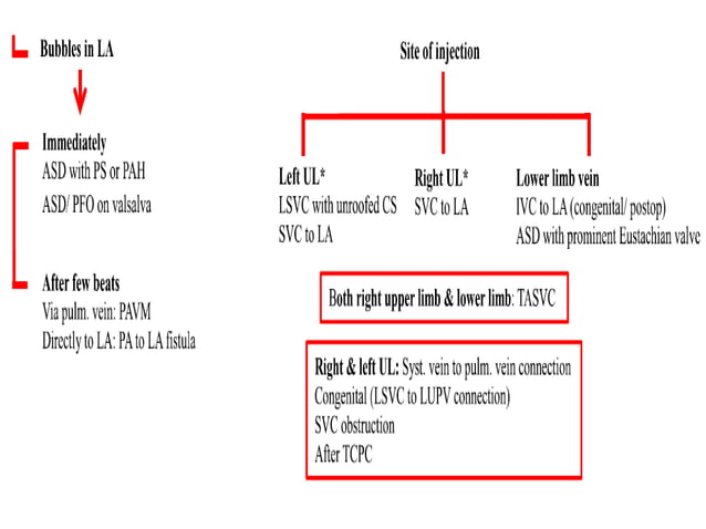 Contrast Echocardiography | PPTX