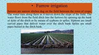 Ce 317 irrigation and hydraulic structures 6th | PPTX