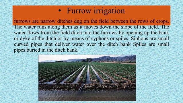 Ce 317 irrigation and hydraulic structures 6th | PPTX