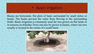 Ce 317 irrigation and hydraulic structures 6th | PPTX