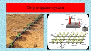 Ce 317 irrigation and hydraulic structures 6th | PPTX