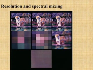 classification of soil different methods | PPTX