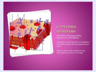 κυτταρο Art | PPT