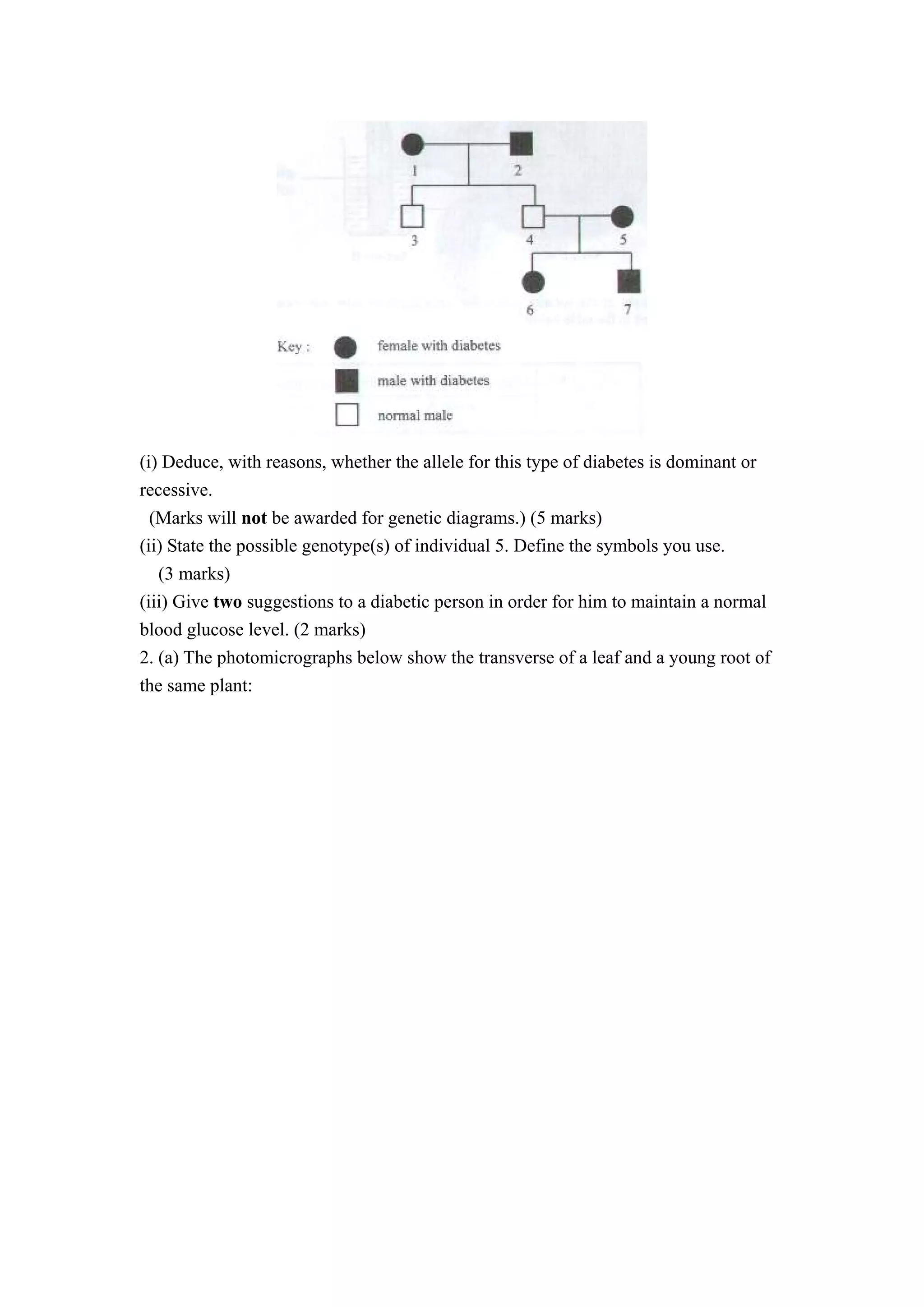 Ce Biology 1998 Paper1(E) | PDF