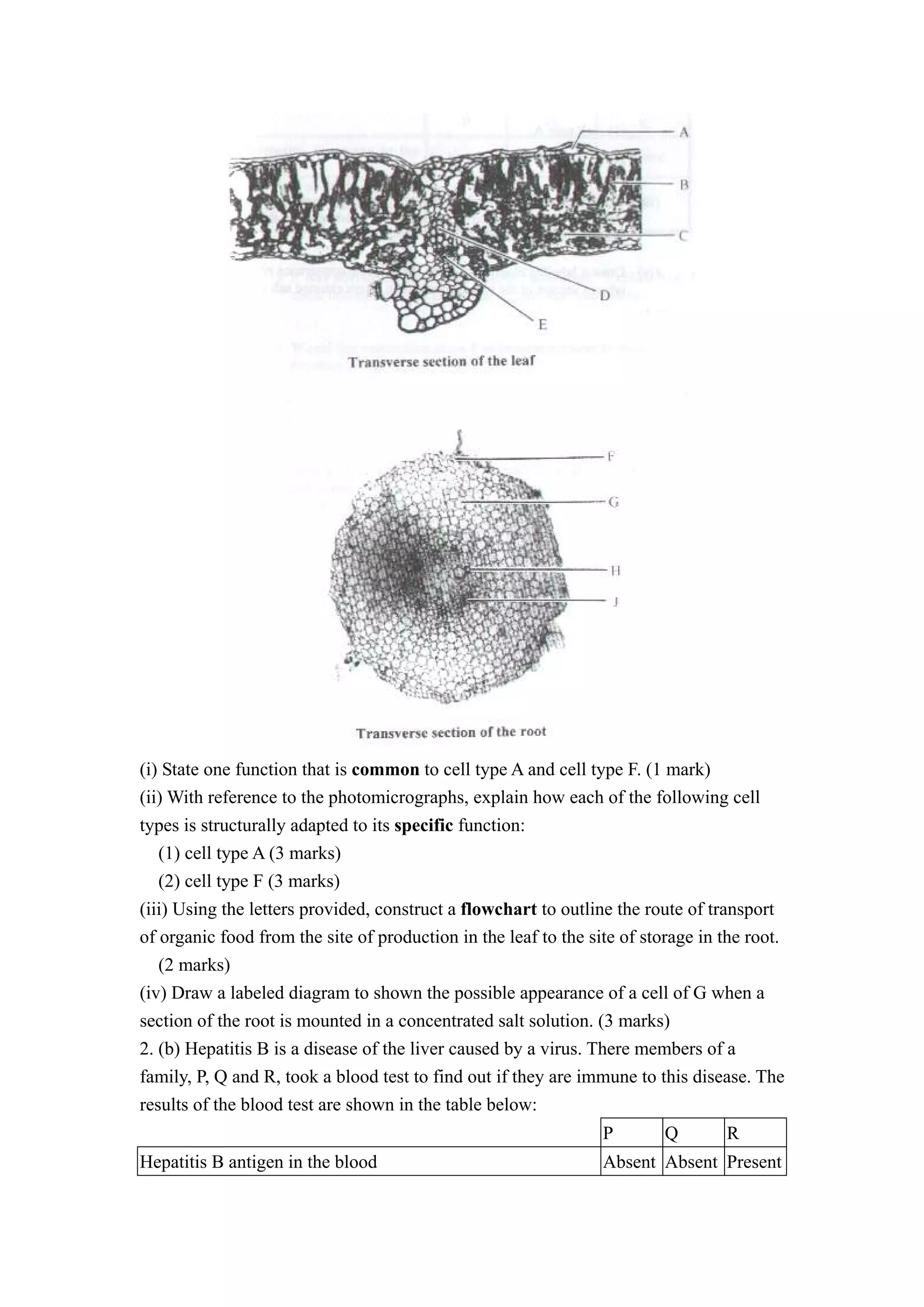 Ce Biology 1998 Paper1(E) | PDF