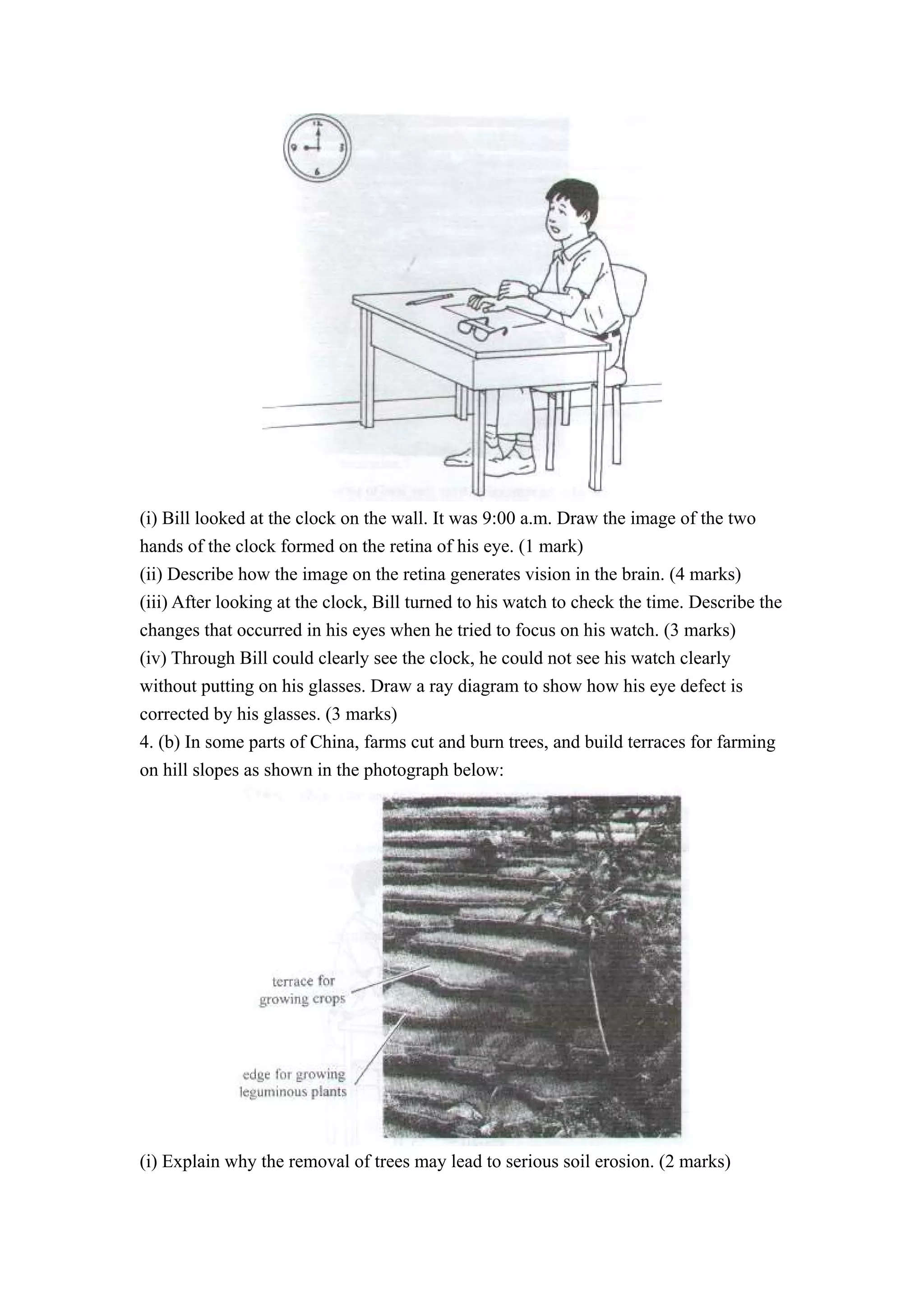 Ce Biology 1998 Paper1(E) | PDF