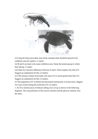 Ce Biology 1998 Paper1(E) | PDF