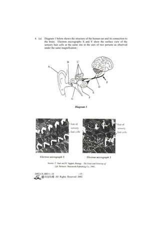 Ce Biology 2002 Paper1(E) | PDF | Diabetes | Diseases and Conditions